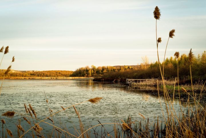 Lancement d’une carte interactive visant à appuyer les MRC de l’Estrie ...